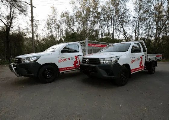 Ute Hire And Rentals At Affordable Prices | Go With The Gecko